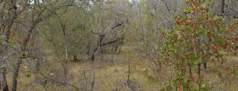 WILDLIFE MANAGEMENT AREAS - GEORGIA | Wildlife Resources Division