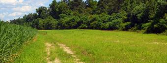 WILDLIFE MANAGEMENT AREAS - GEORGIA