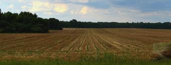 WILDLIFE MANAGEMENT AREAS - GEORGIA