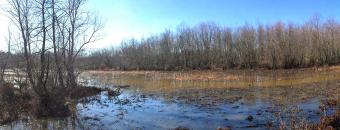 WILDLIFE MANAGEMENT AREAS - GEORGIA