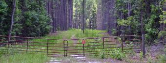 WILDLIFE MANAGEMENT AREAS - GEORGIA