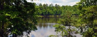 WILDLIFE MANAGEMENT AREAS - GEORGIA