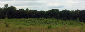 WILDLIFE MANAGEMENT AREAS - GEORGIA