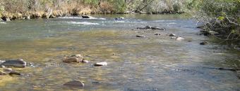 WILDLIFE MANAGEMENT AREAS - GEORGIA